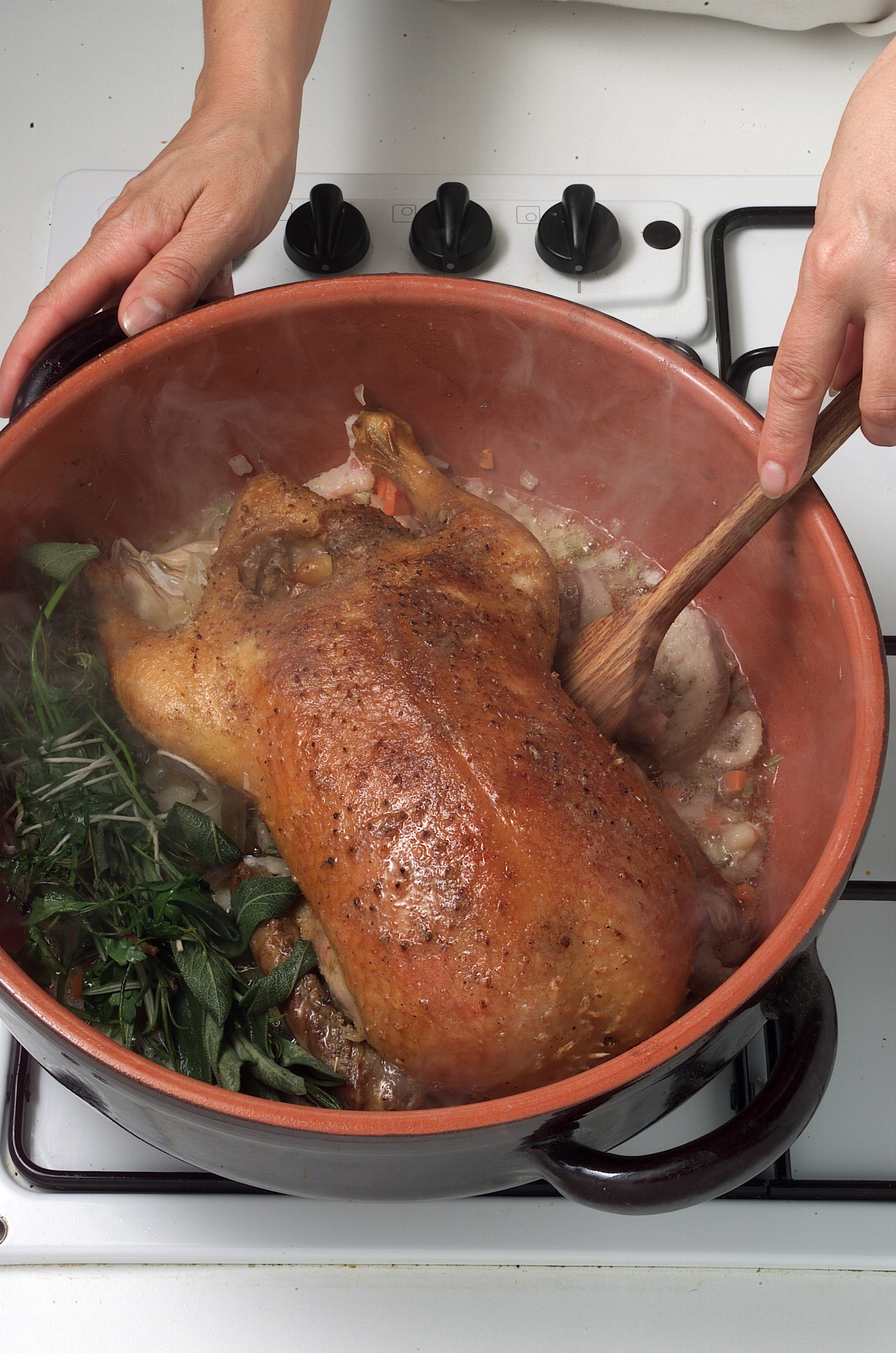 Ricetta Anatra brasata - Donna Moderna