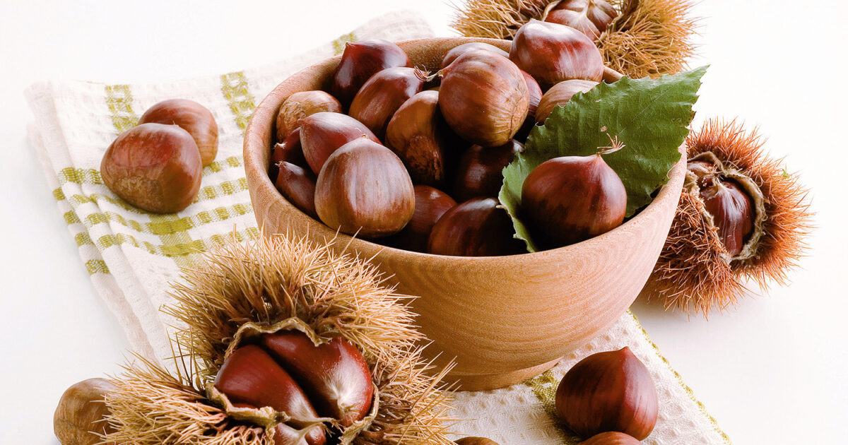 Castagne e marroni: varietà, differenze e cotture base - Donnamoderna