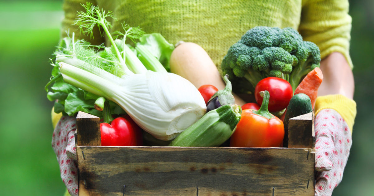 Primavera: le verdure di stagione - Donna Moderna