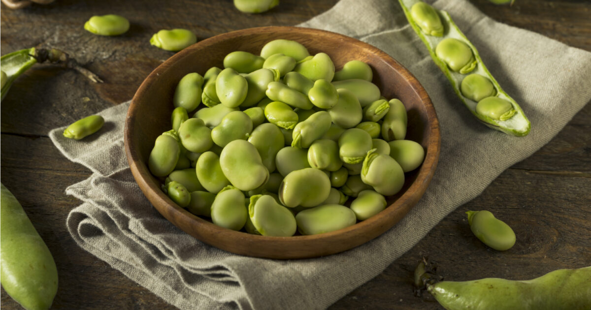 Fave: proprietà, benefici e come cucinarle per piatti gustosi e light ...
