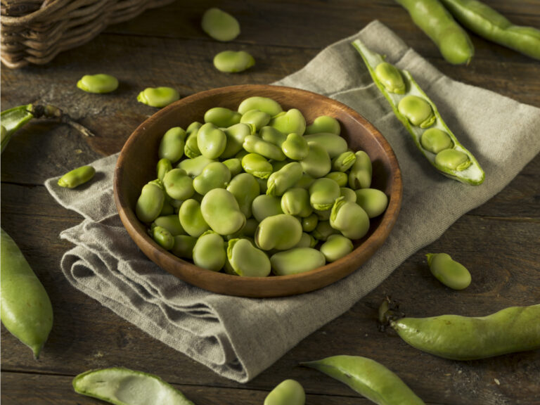 Fave: proprietà, benefici e come cucinarle per piatti gustosi e light ...