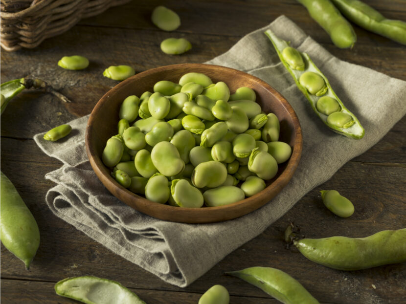 Fave: proprietà, benefici e come cucinarle per piatti gustosi e light ...