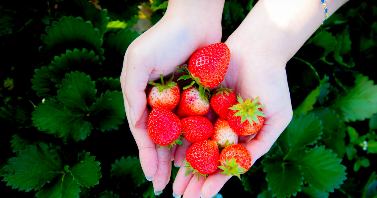 Frutta primaverile: cosa mangiare e quali sono le proprietà - Donna Moderna