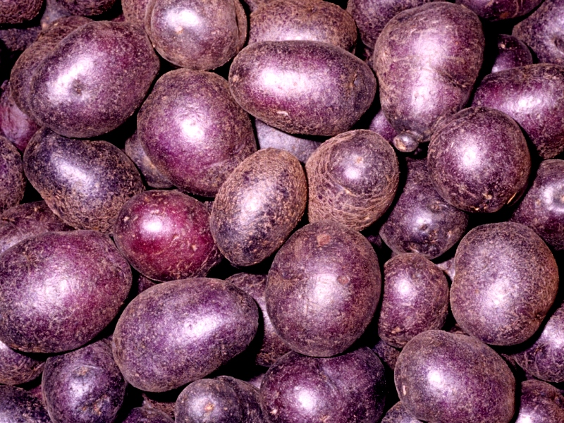 Patate viola: la ricetta della vellutata - Donna Moderna