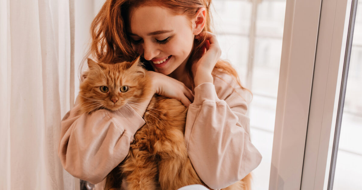 Come rendere felice un gatto: cose da sapere se prendi un gatto - Donna ...