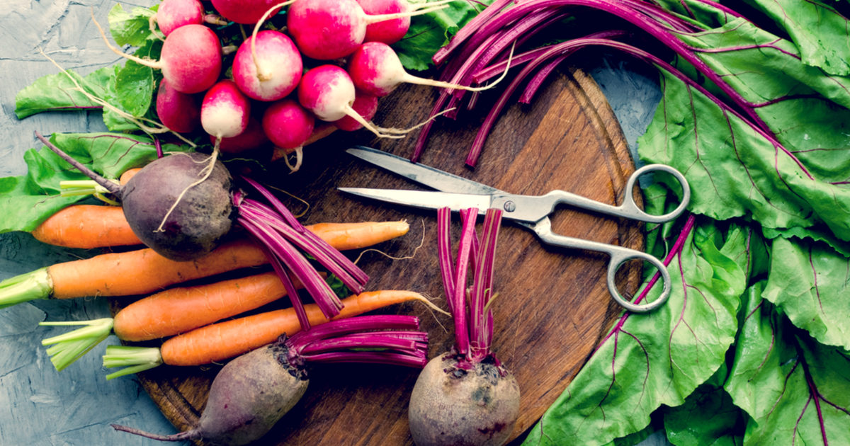 5 radici da utilizzare in cucina: proprietà e benefici - Donna Moderna