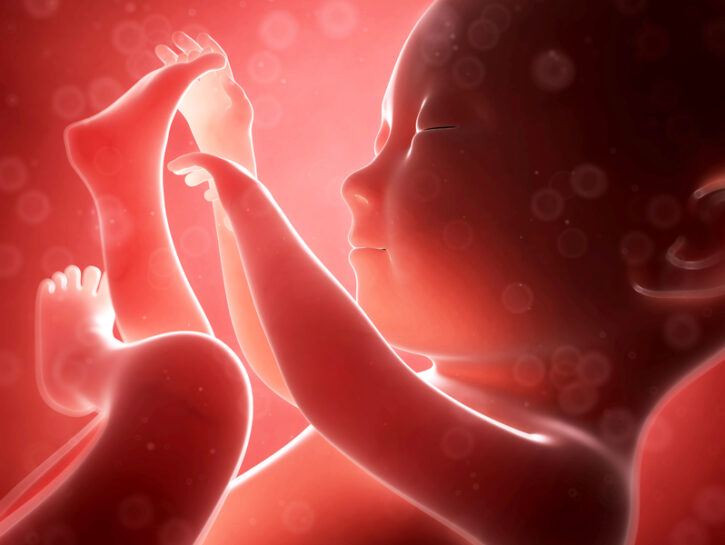 Le immagini del feto. Come cresce una vita - Donna Moderna