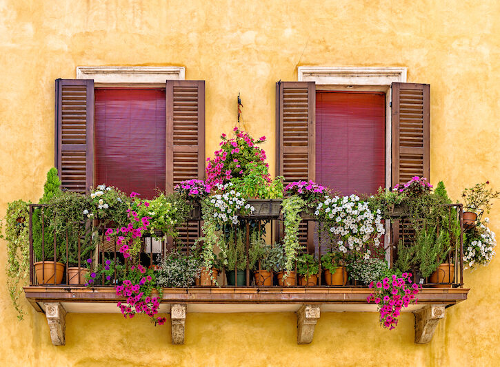 I fiori da balcone perenni - Donna Moderna