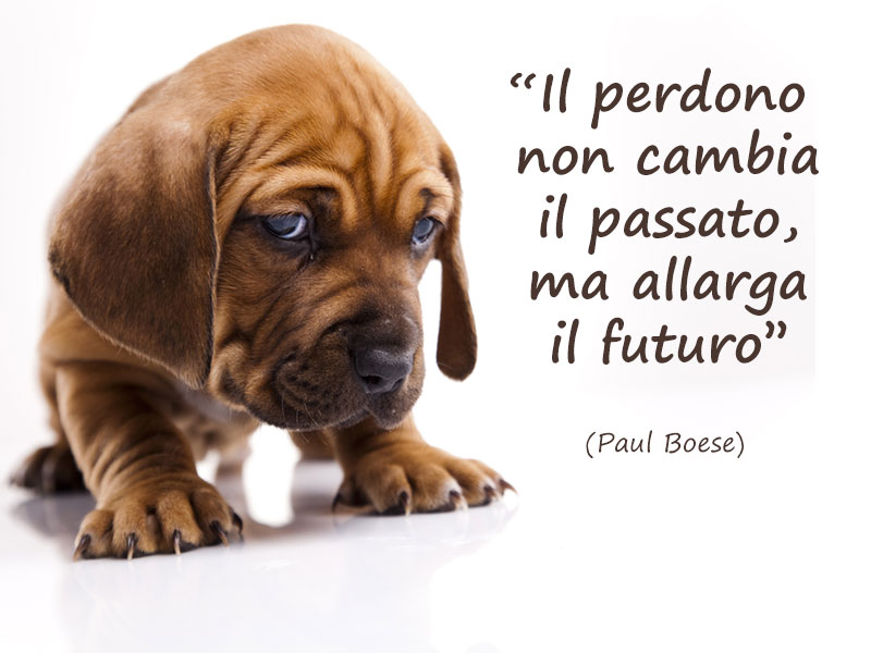 Frasi di scuse: le parole migliori per chiedere scusa - Donna Moderna