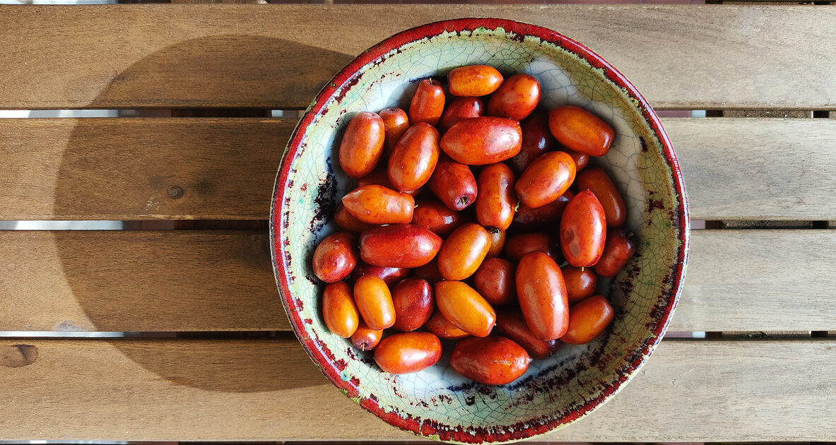 Come coltivare e utilizzare la pianta delle giuggiole - Donna Moderna