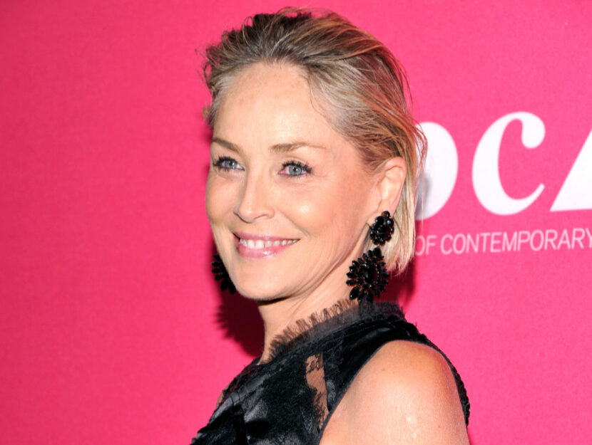 Sharon Stone: vita, amori, carriera, ictus, diritti lgbt - Donna Moderna