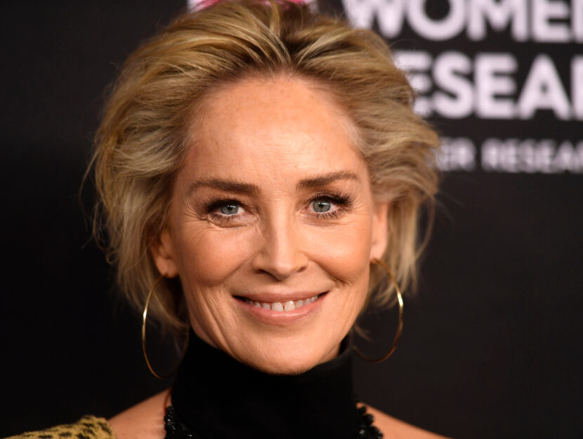 Sharon Stone: vita, amori, carriera, ictus, diritti lgbt - Donna Moderna