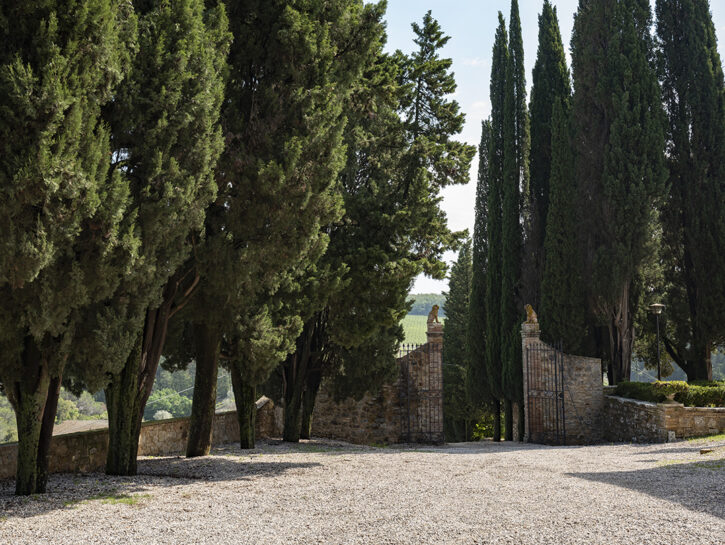 Alla scoperta della Toscana: la tenuta di CastelGiocondo a Montalcino ...