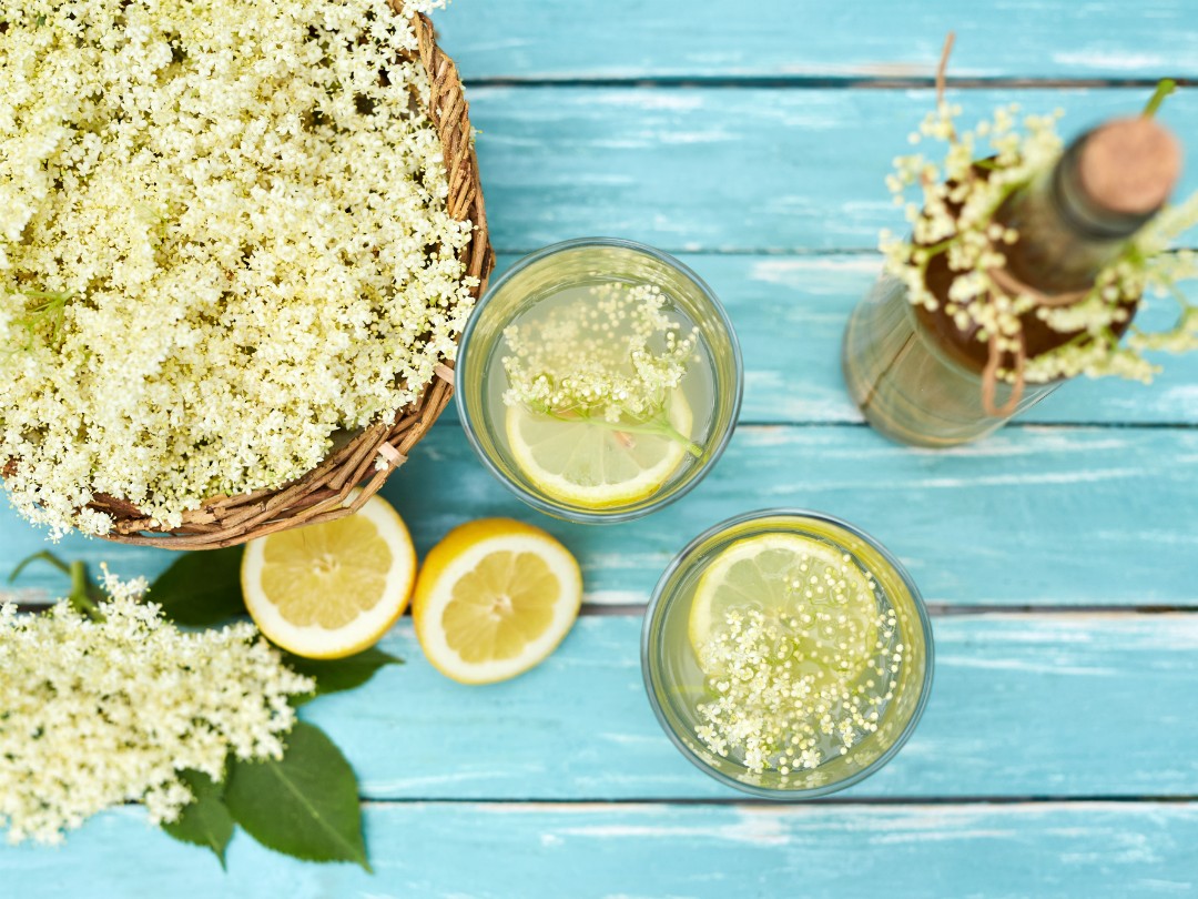 Sambuco: proprietà terapeutiche e benefici - Donna Moderna