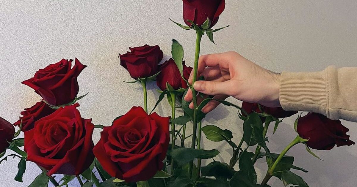 10 consigli per potare le rose - Donna Moderna