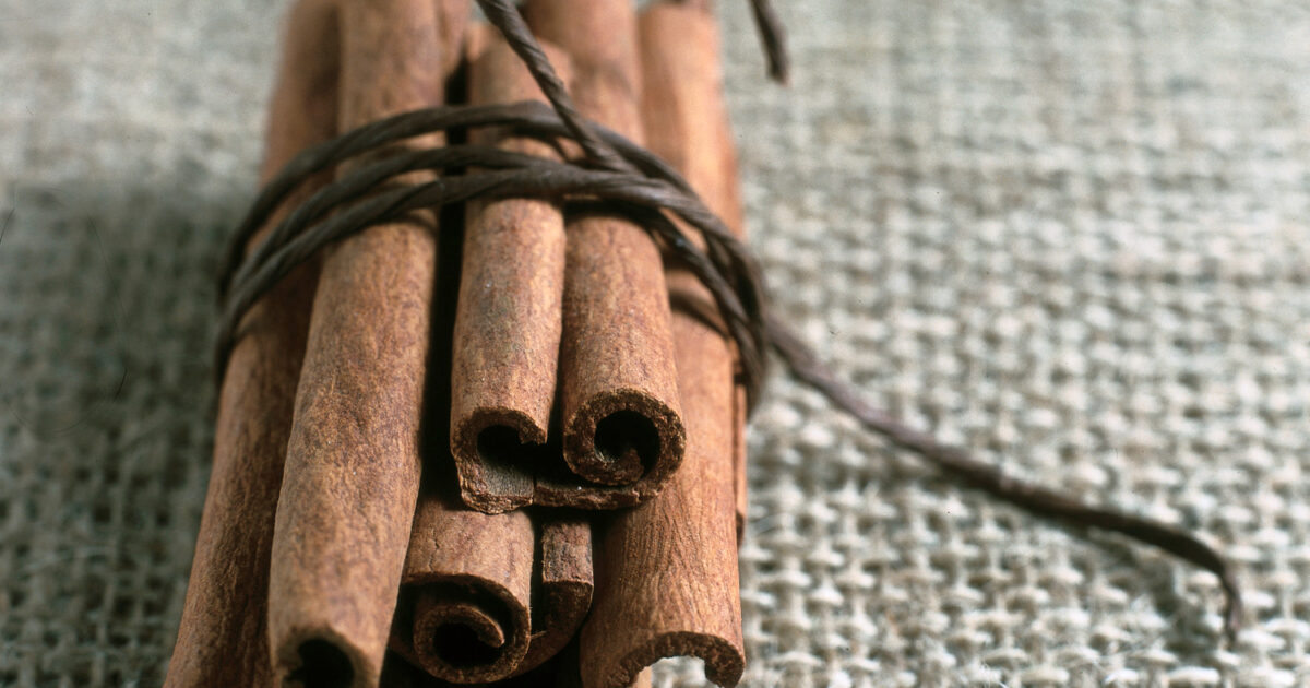 Cannella: per i biscotti e non solo! Impara a conoscerla e usarla ...