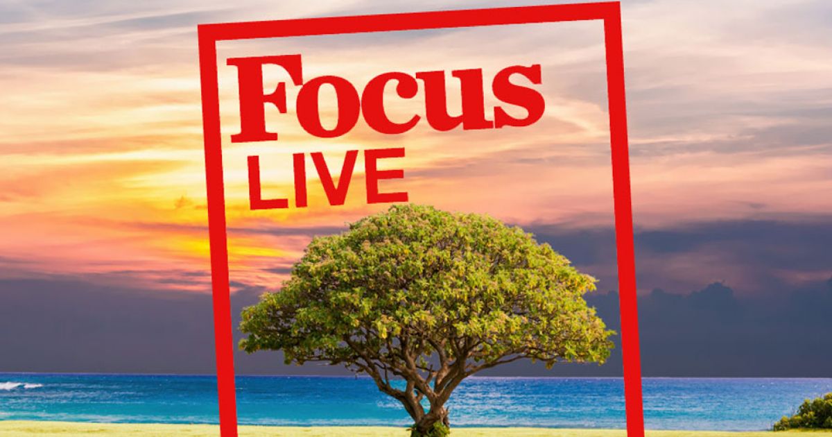 Focus Live: quattro giorni per raccontare le grandi sfide dell'umanità ...