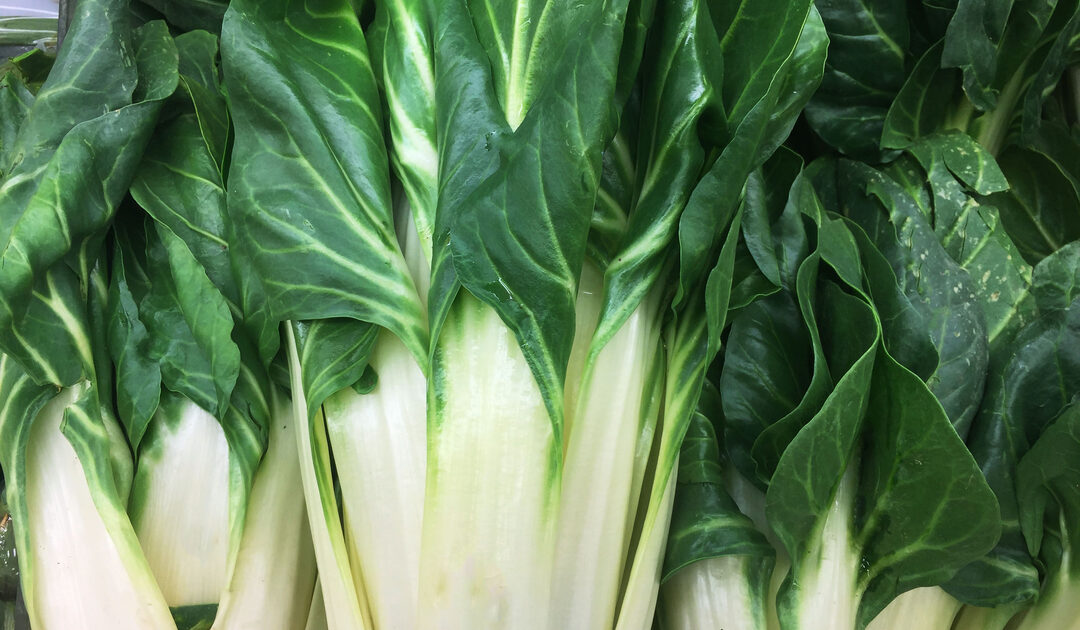 Come cucinare e le proprietà di coste, bietole e biete - Donna Moderna