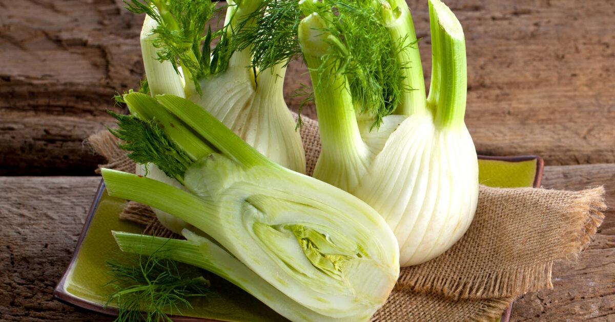 Ricette con i finocchi light e veloci - Donna Moderna