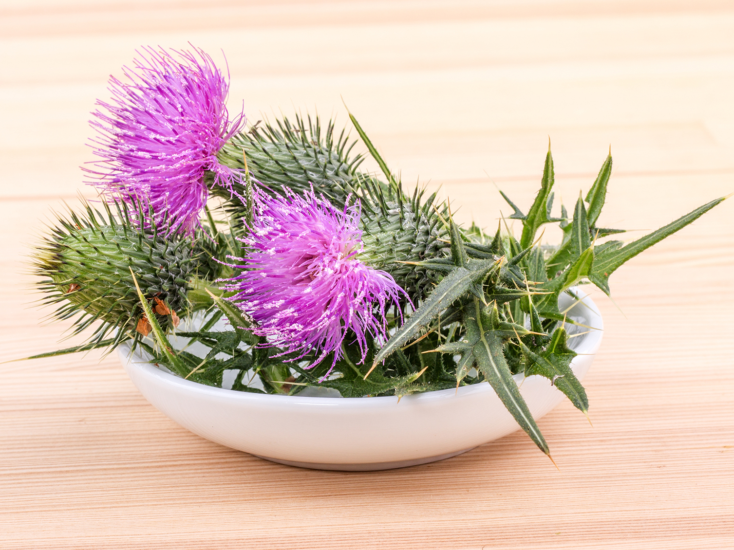 Cos'è il cardo e quali sono le sue proprietà - Donna Moderna