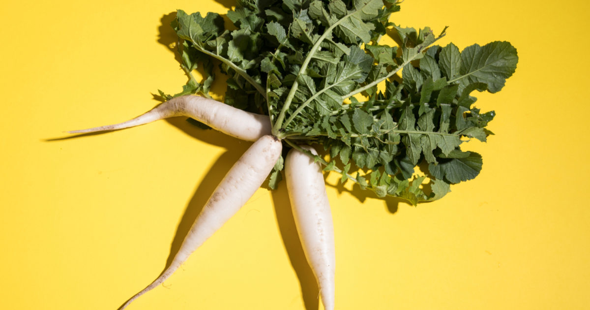 Daikon: ricette, cosa è e che sapore ha - Donna Moderna