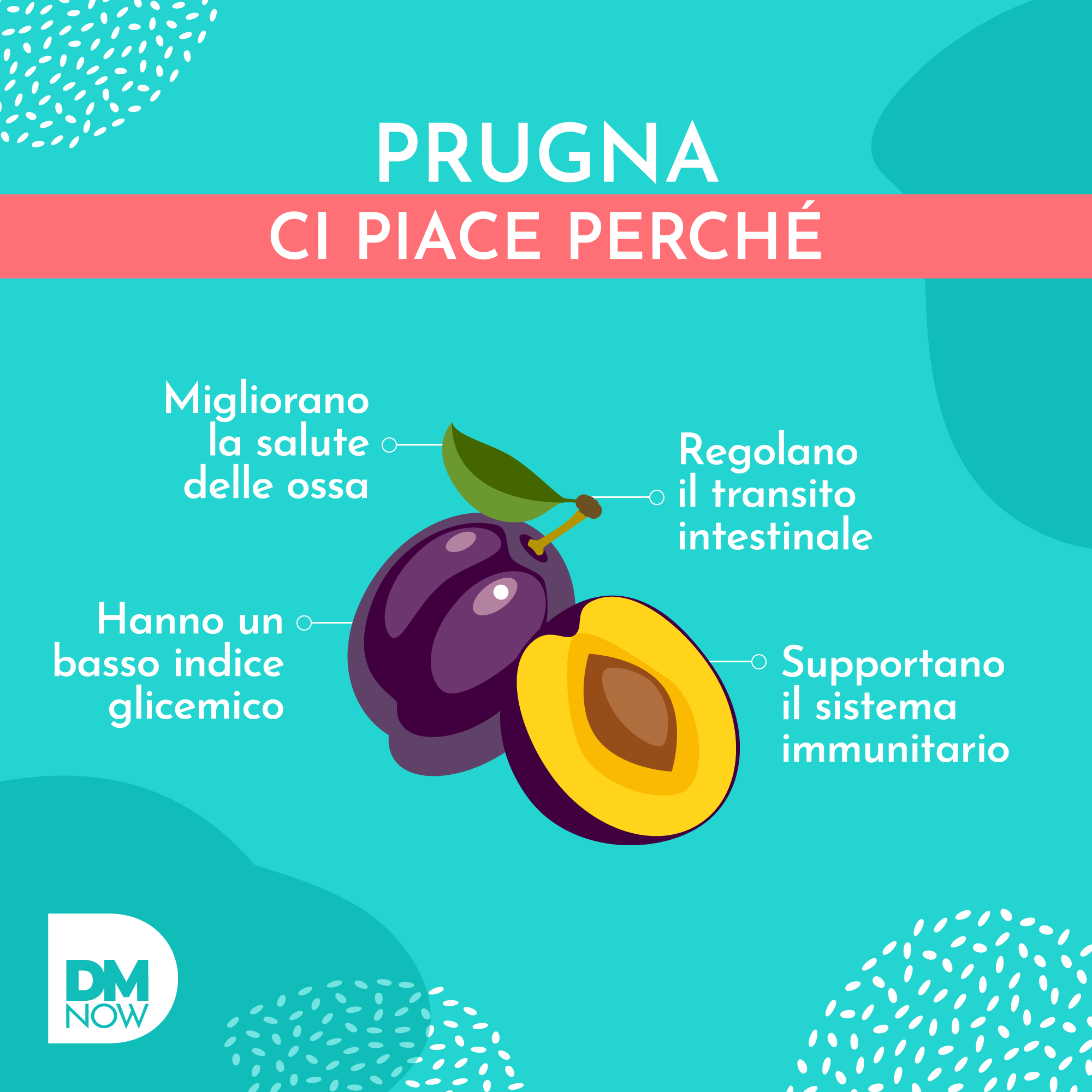 Prugna: a ogni colore le sue proprietà (i benefici e gli utilizzi ...