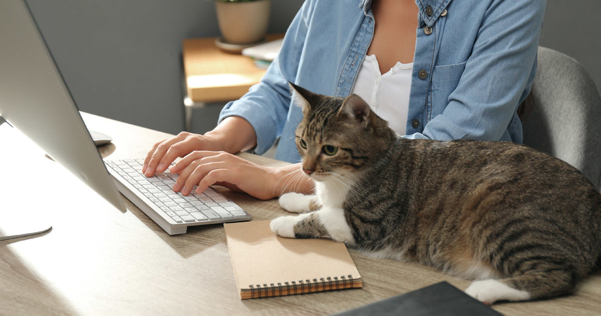 Cani e gatti: perché inserirli nel testamento - Donna Moderna