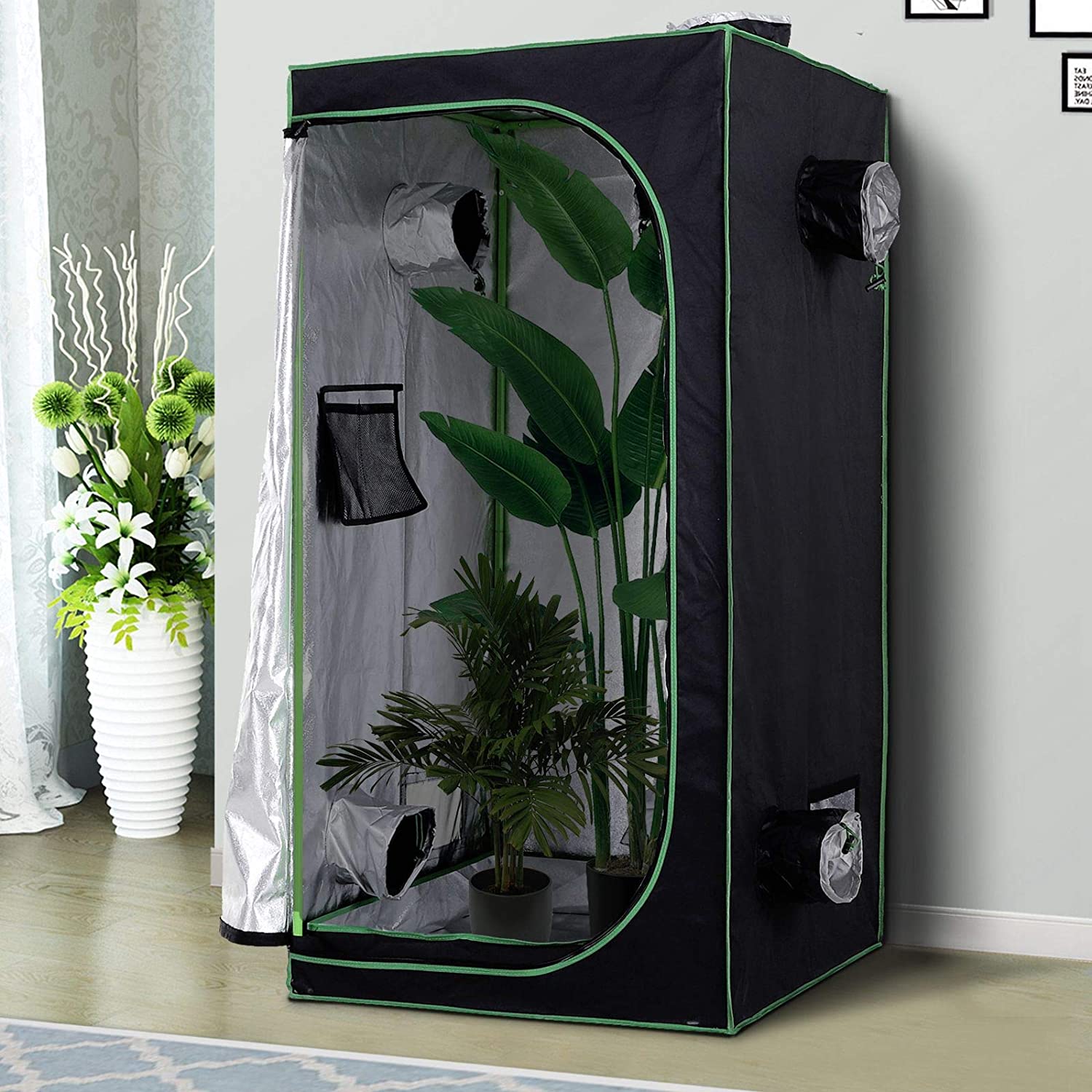 Grow box: cosa è, come funziona e quale comprare - Donna Moderna