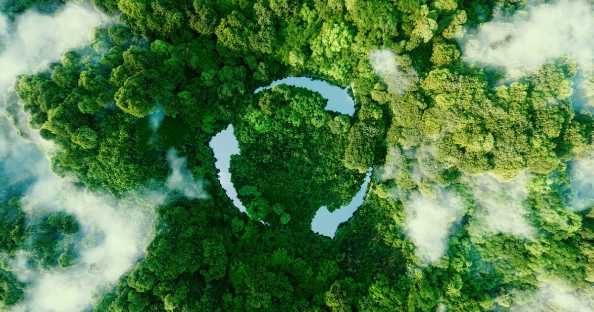 10 piccoli gesti ecologici che tutti possiamo fare - Donna Moderna