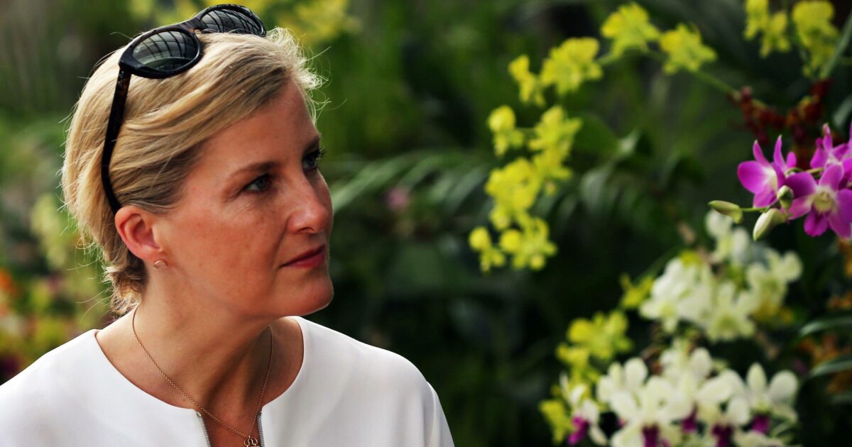 Chi è Sophie, la favorita della regina - Donna Moderna