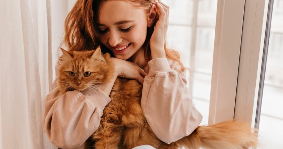 5 attività rilassanti che puoi fare con il tuo gatto (migliorando il ...