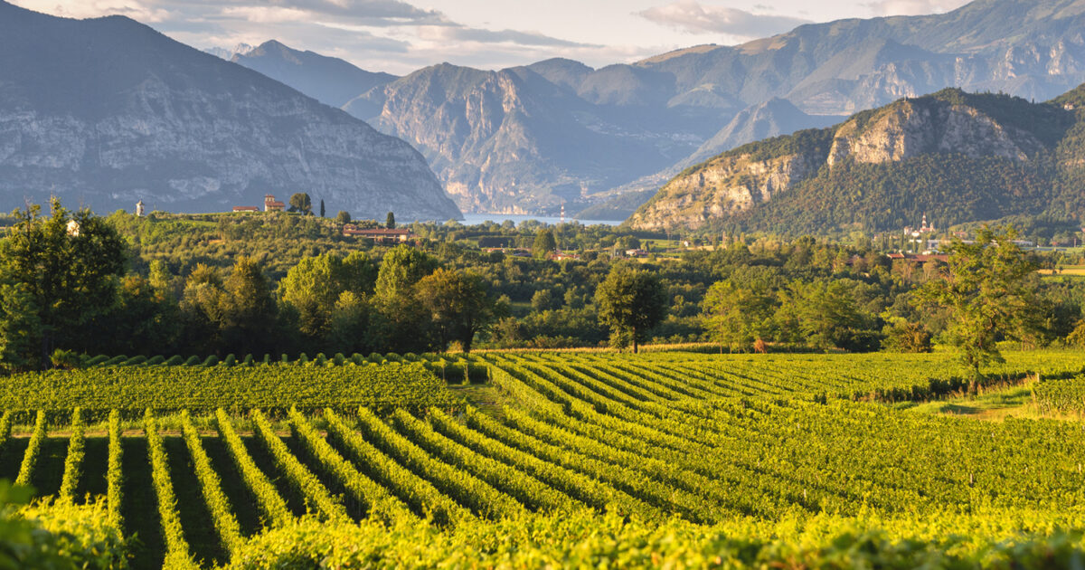 In Franciacorta l’estate è gourmet: 3 itinerari consigliati - Donna Moderna