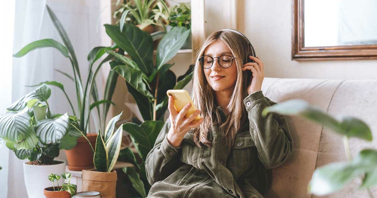 Piante profumate da interno: 5 che vivono perfettamente dentro casa ...