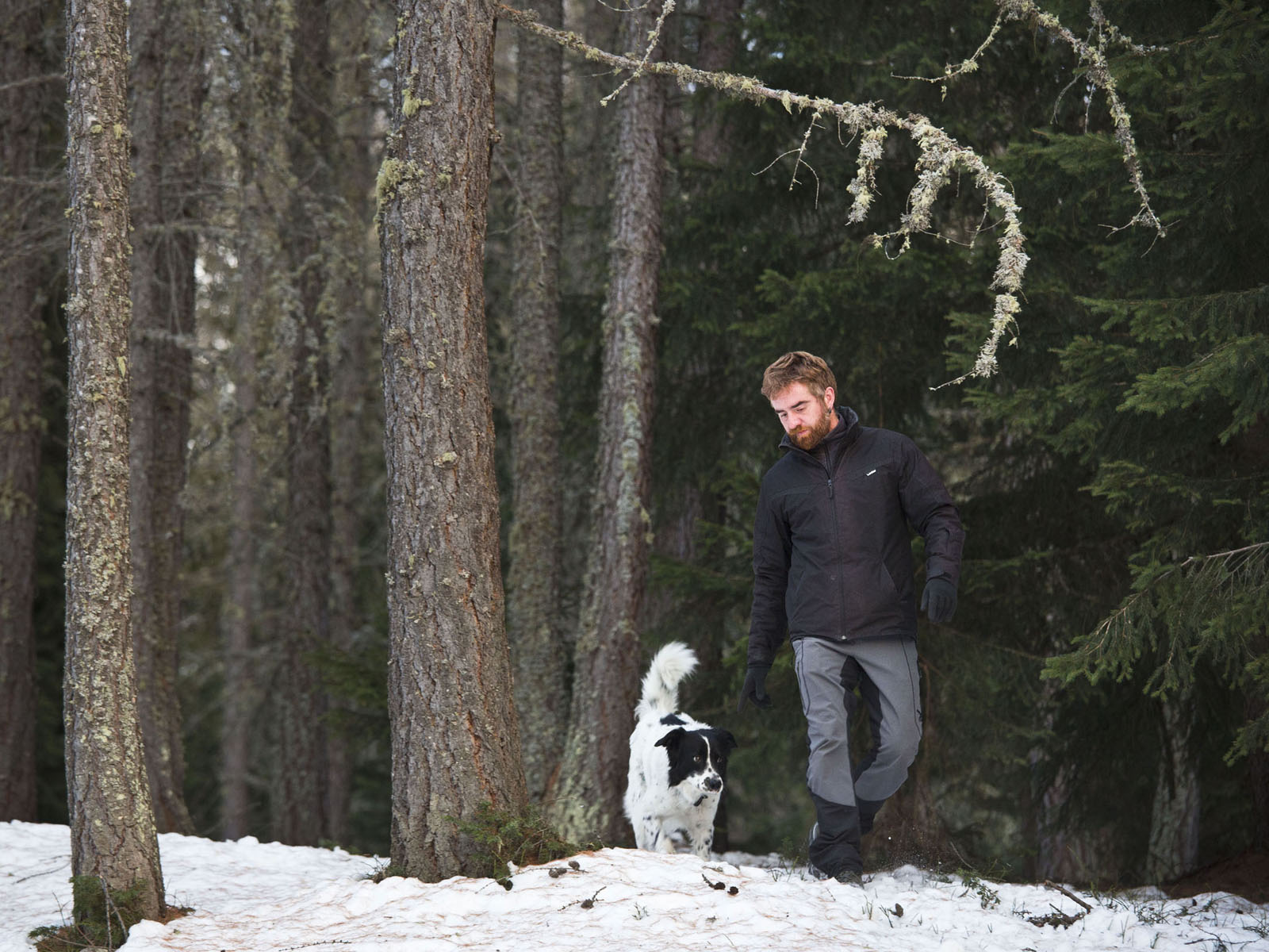 Paolo Cognetti: «In montagna ho trovato la felicità» - Donna Moderna