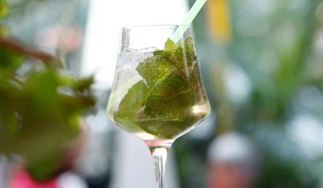 Sambuco flower: la ricetta del cocktail - Donna Moderna