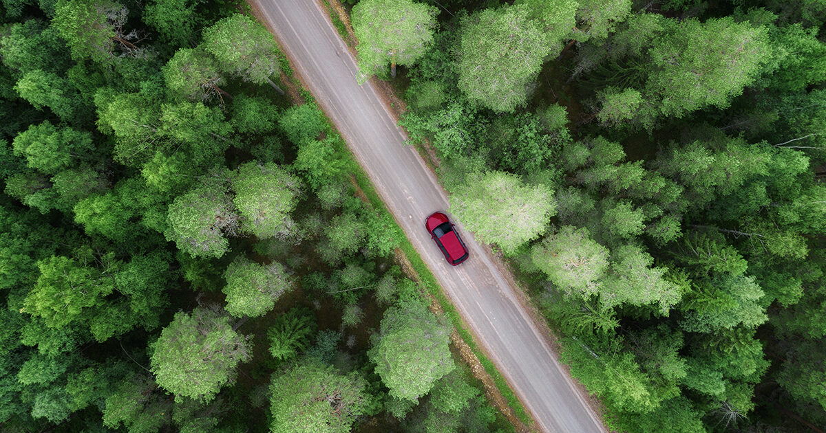100 idee green per la Terra - Donna Moderna