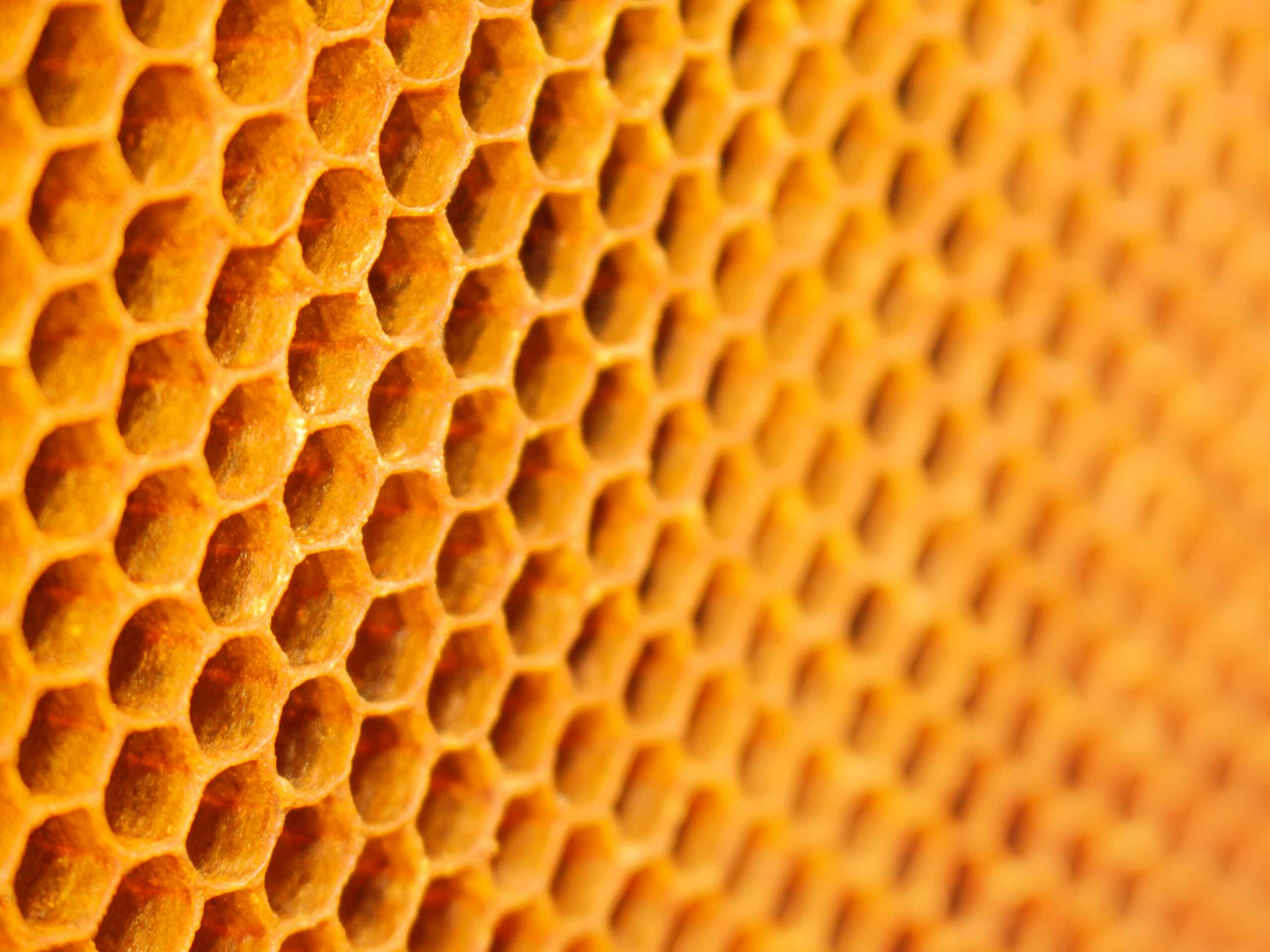 Apiterapia: cos'è e a cosa serve - Donna Moderna