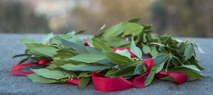 Come fare la corona di alloro per la Laurea | corona alloro fai da te ...