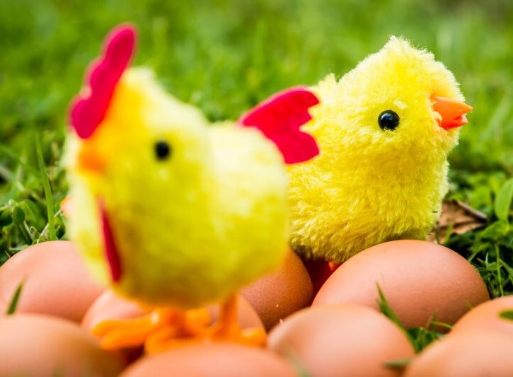 Lifestyle - Pagina 855 - Donna Moderna