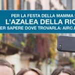 Festa della Mamma: Azalea della ricerca AIRC 2018 - Donna Moderna