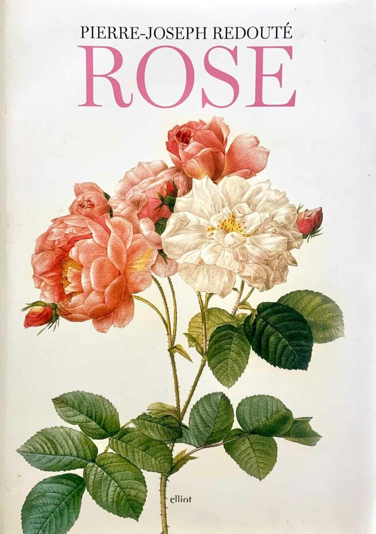Rose: libri, consigli e spunti per coltivarle - Donna Moderna
