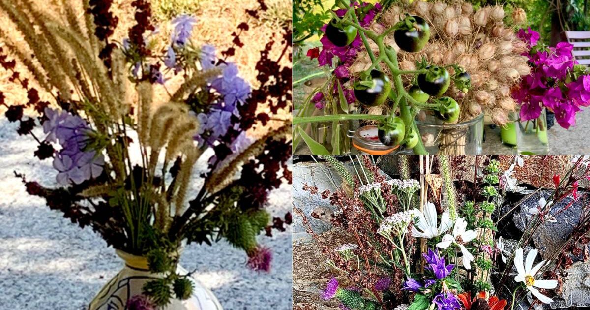 Fiori secchi: la guida per un bouquet sostenibile| - Donna Moderna