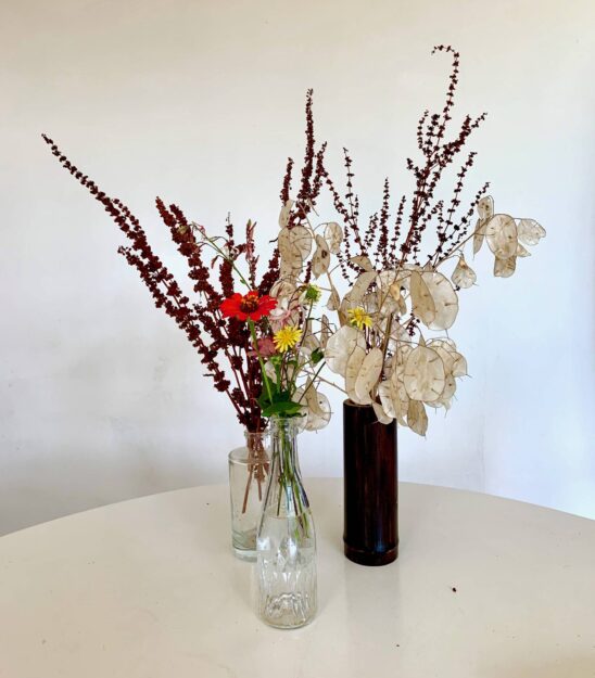 Fiori secchi: la guida per un bouquet sostenibile - Donna Moderna