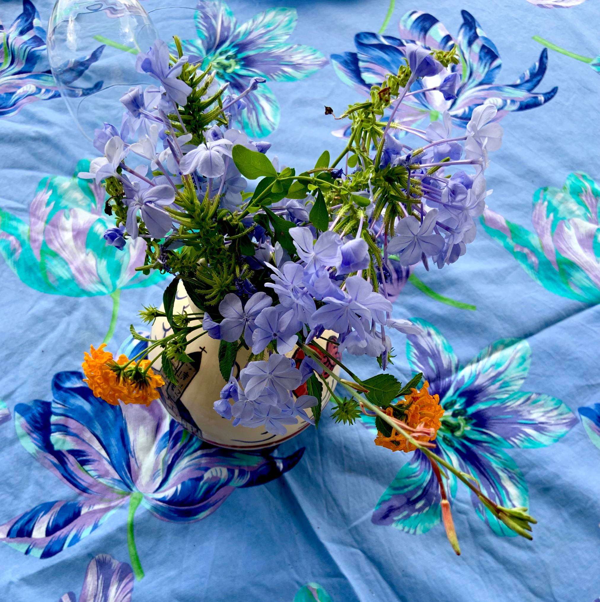 Plumbago: la nuvola blu che fiorisce in estate - Donna Moderna