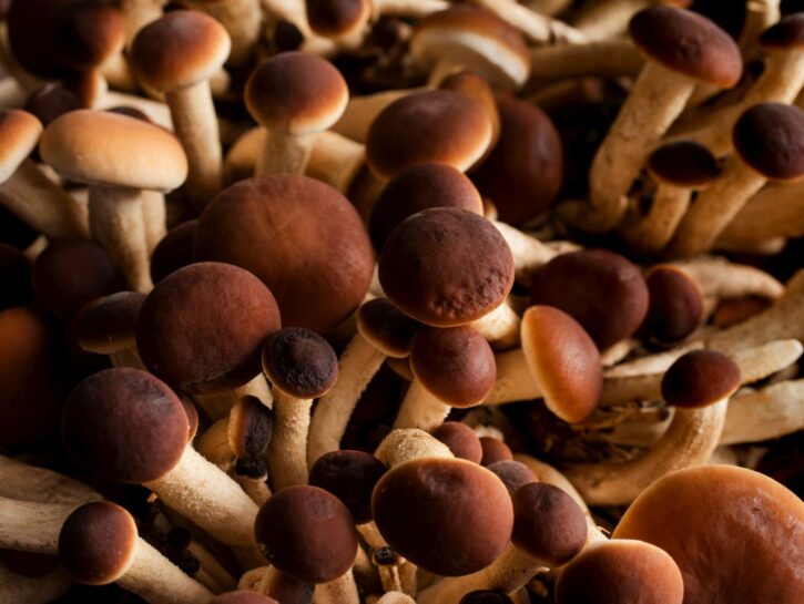 Come preparare i funghi chiodini al prezzemolo - Donna Moderna