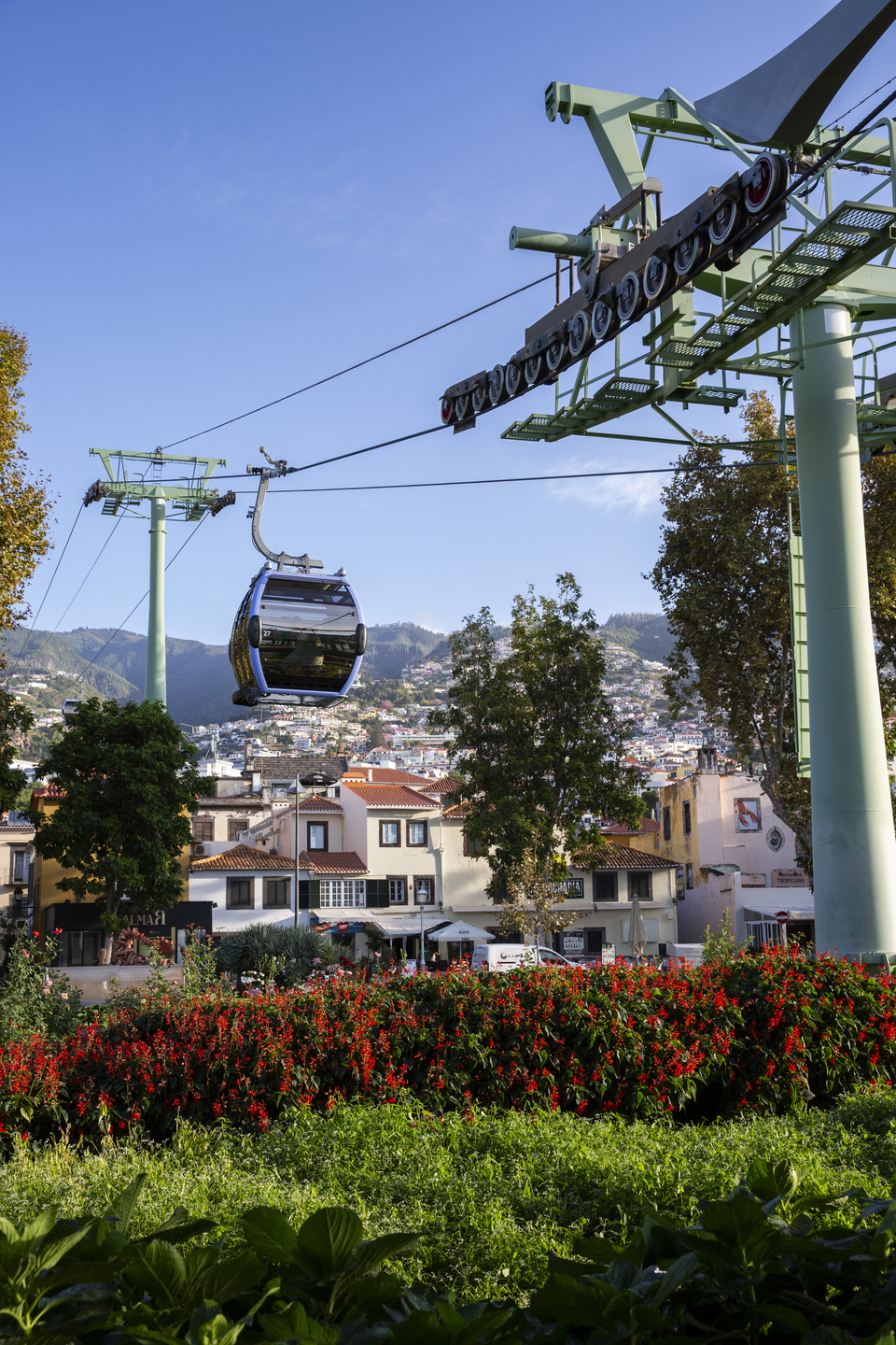Viaggio all'arcipelago di Madeira - Donna Moderna