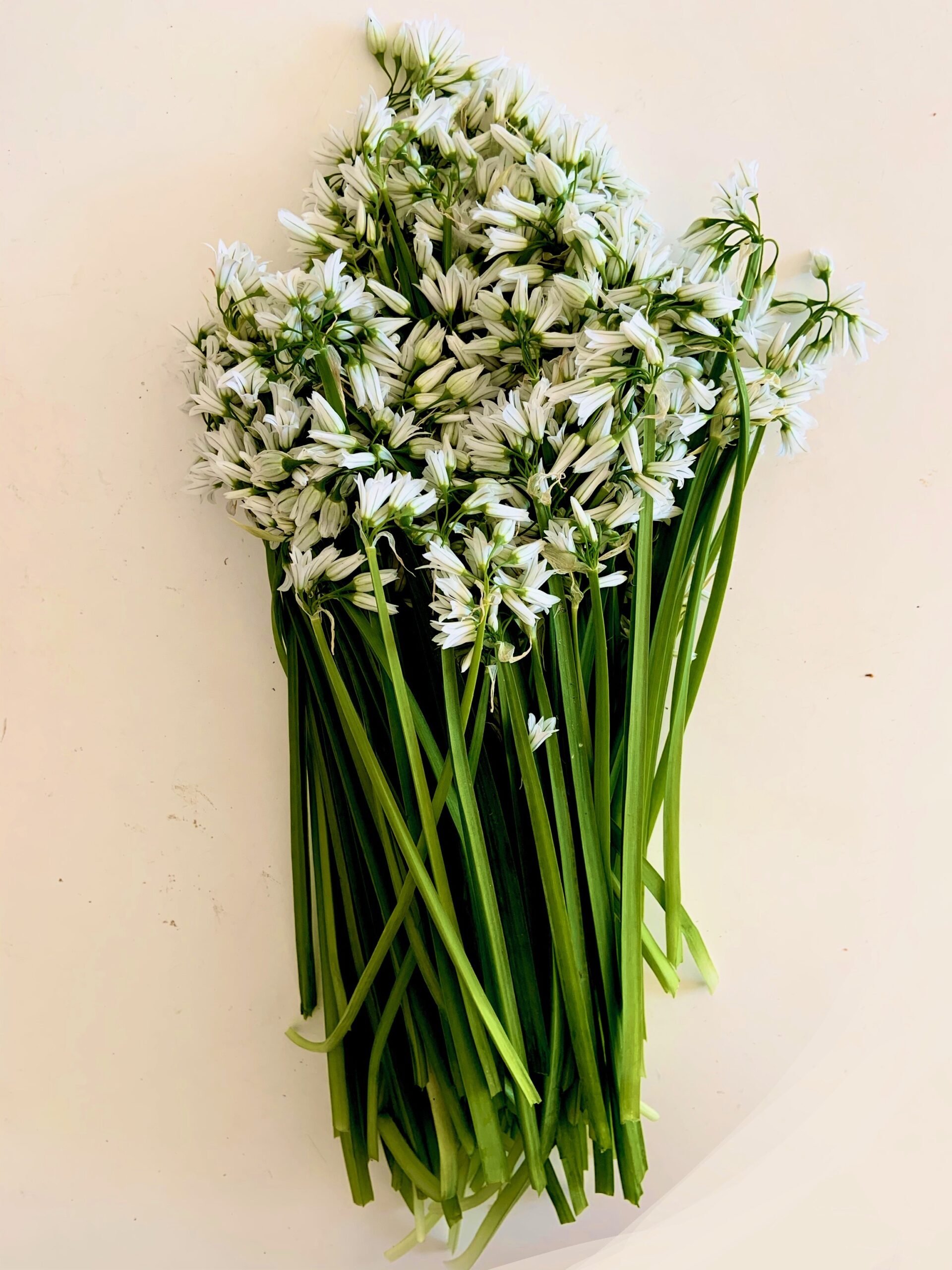 Aglio selvatico: il profumo di primavera - Donna Moderna