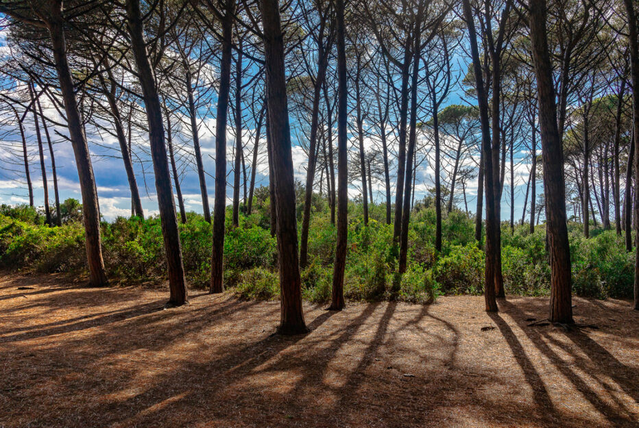 Weekend in Val di Cecina tra vini e open air - Donna Moderna
