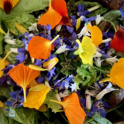 Come ottenere un prato fiorito - Donna Moderna