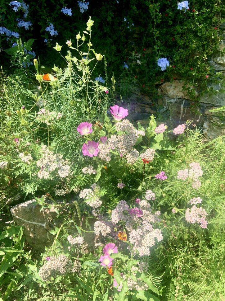 Come ottenere un prato fiorito - Donna Moderna